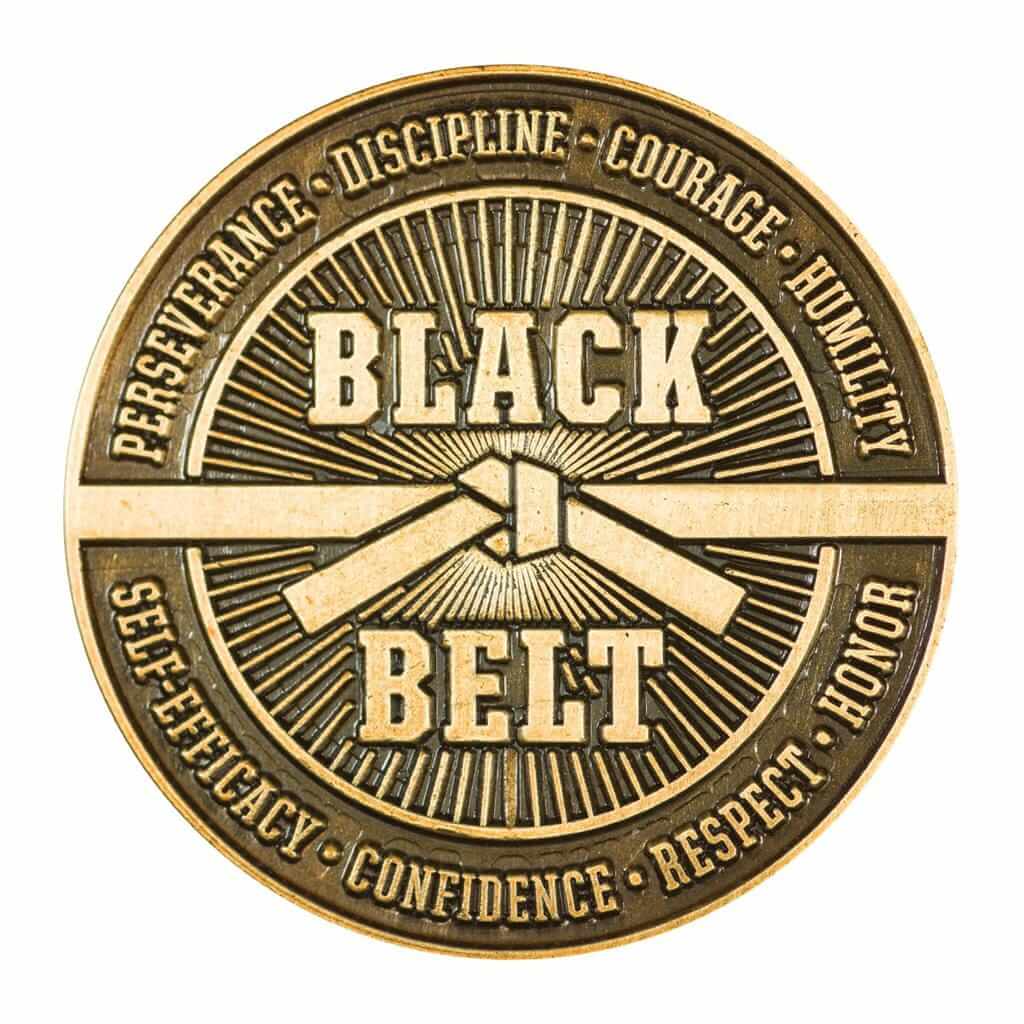 BLACK BELT CHALLENGE COIN Karate gift martial arts